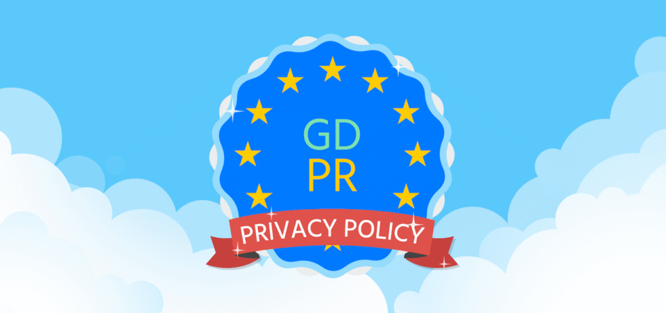 How to Write GDPR Privacy Policy for Surveys | SurveyLegend