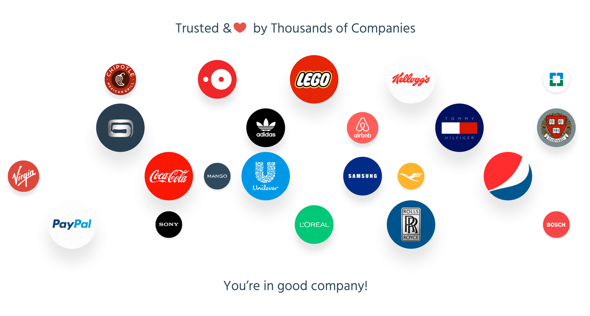 Survey Reviews & Testimonials | SurveyLegend